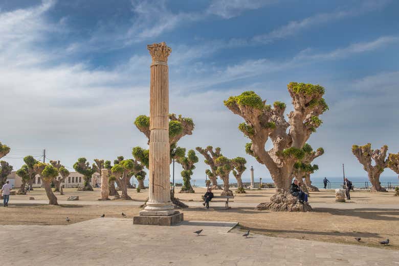 Cherchell + Tipasa Day Trip from Algiers - Book at Civitatis.com