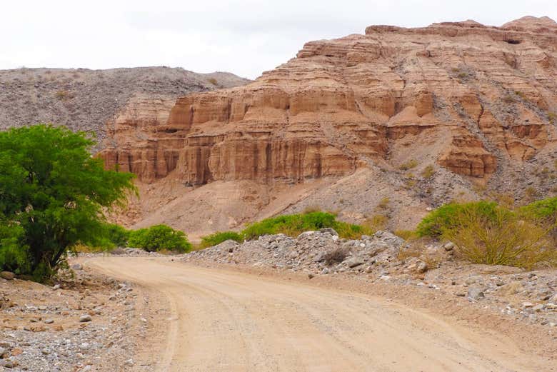 Excursión a la Quebrada de las Flechas desde Cafayate