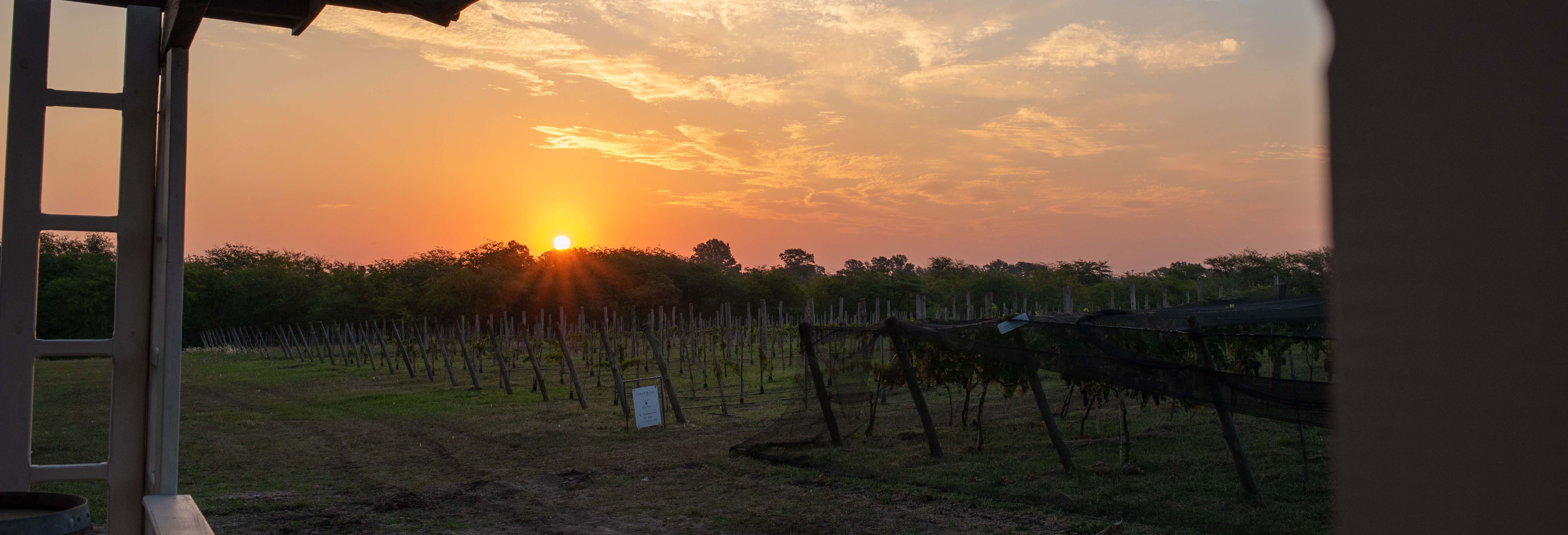 Excursiones, visitas guiadas y actividades en Campana - Civitatis