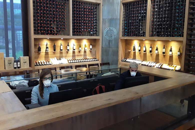 Tour privado por las bodegas de Maipú desde Mendoza