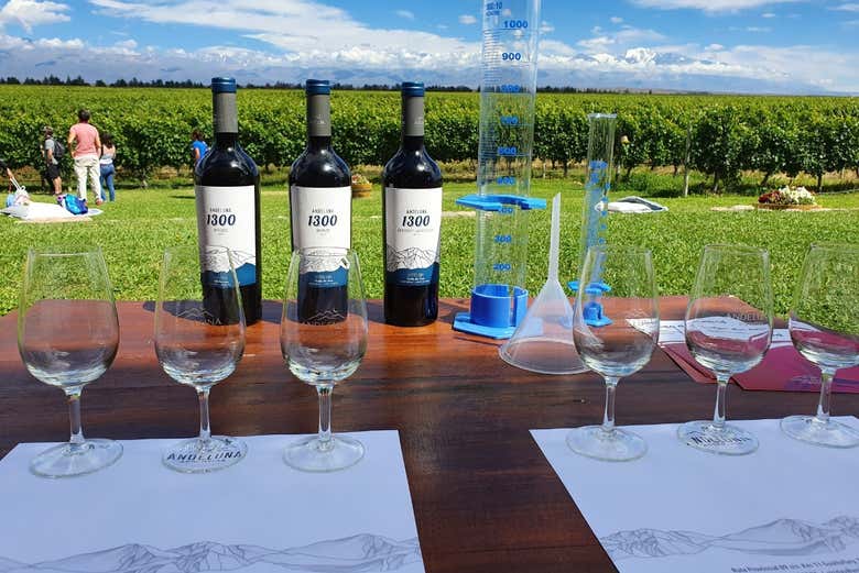 Tour pelo norte da região vitivinícola do Vale do Uco, Mendoza