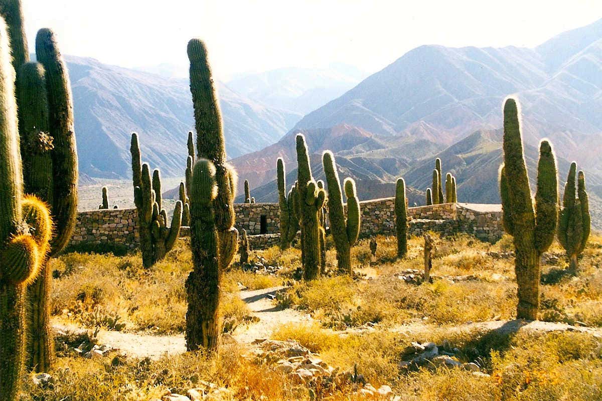 Tour de 7 días por Salta, Jujuy y Tucumán - Civitatis.com
