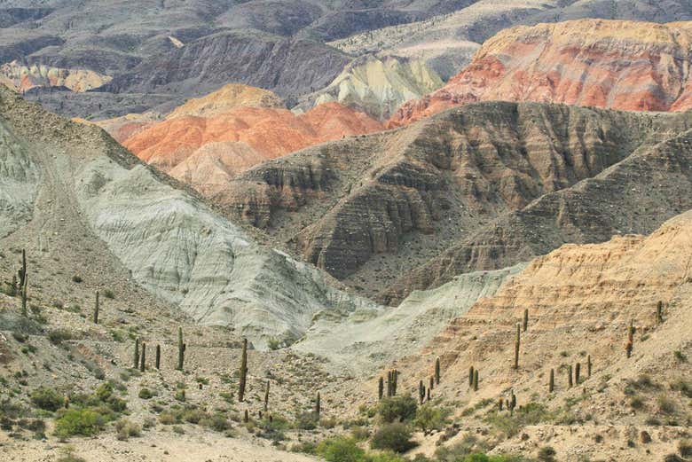 Excursión a la Quebrada del Toro desde Salta - Civitatis.com