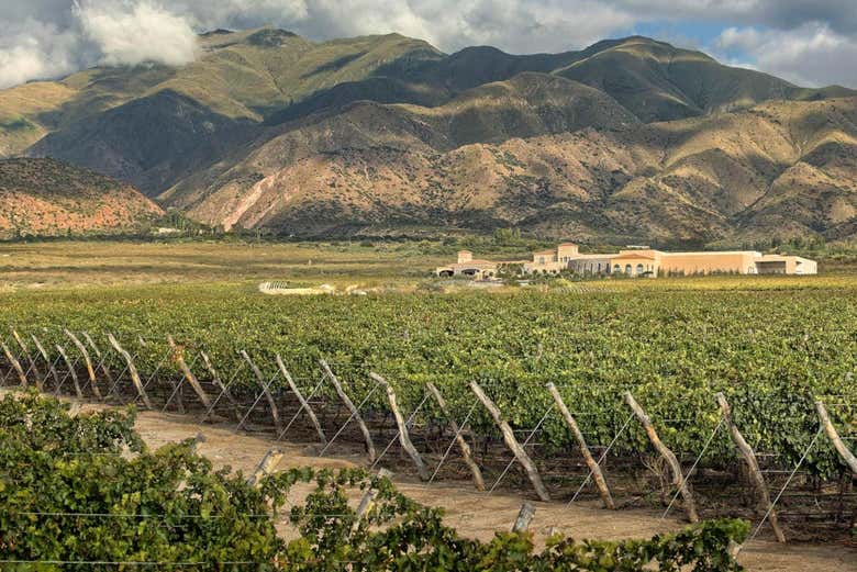Excursión a Cafayate desde Salta - Reserva en Civitatis.com