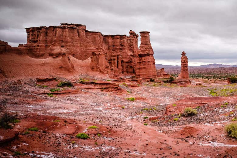 Excursión al Parque Nacional Talampaya desde San Juan, San Juan Argentina