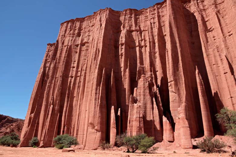 Excursión al Parque Nacional Talampaya desde San Juan, San Juan Argentina