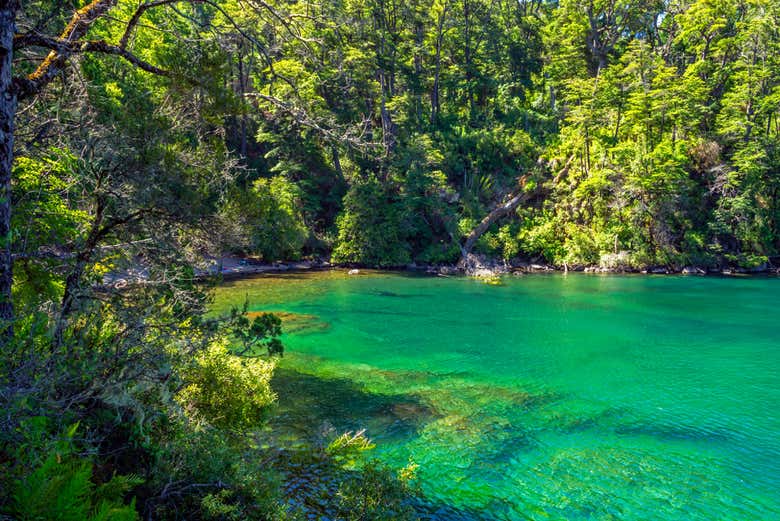 Yuco, cascada Chachín y Hua Hum desde San Martín de los Andes