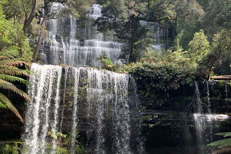 Excursión al Parque Nacional del Monte Field y Richmond desde Hobart