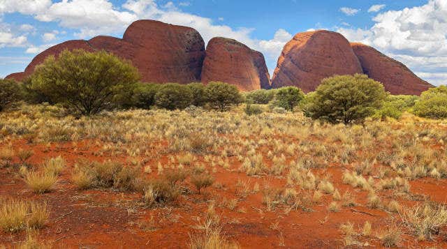 Activities, Guided Tours and Day Trips in Yulara - Civitatis.com