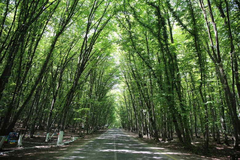 Private Trip from Baku - Book Online at Civitatis.com