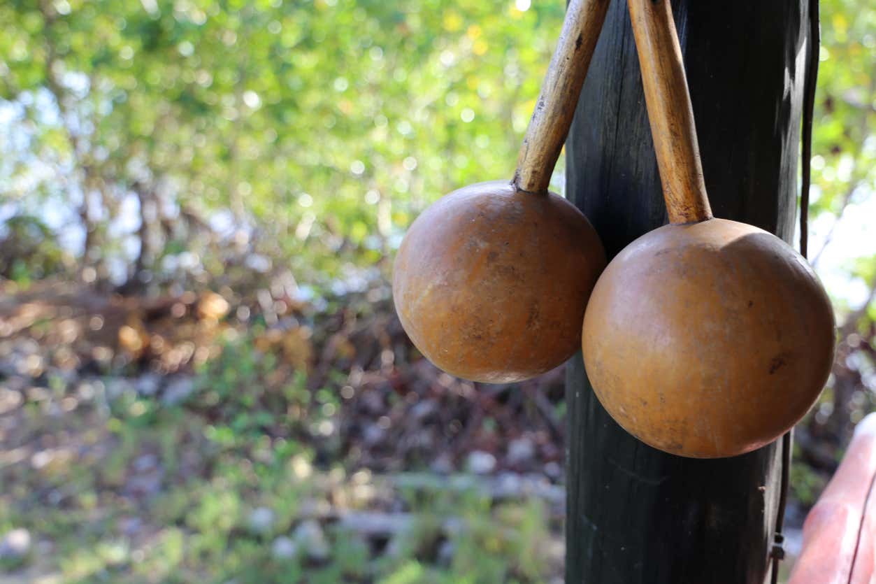 Tour de la cultura garífuna desde Placencia - Civitatis.com