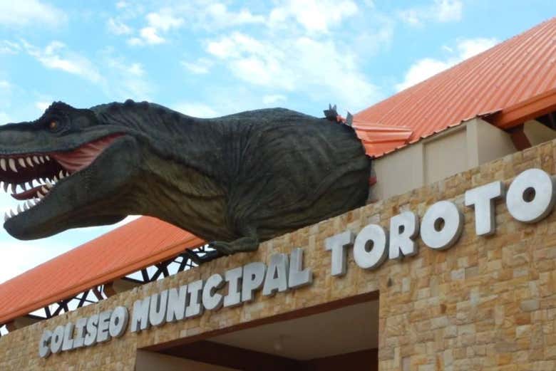 Excursión de 2 días al Parque Nacional de Toro Toro desde Cochabamba