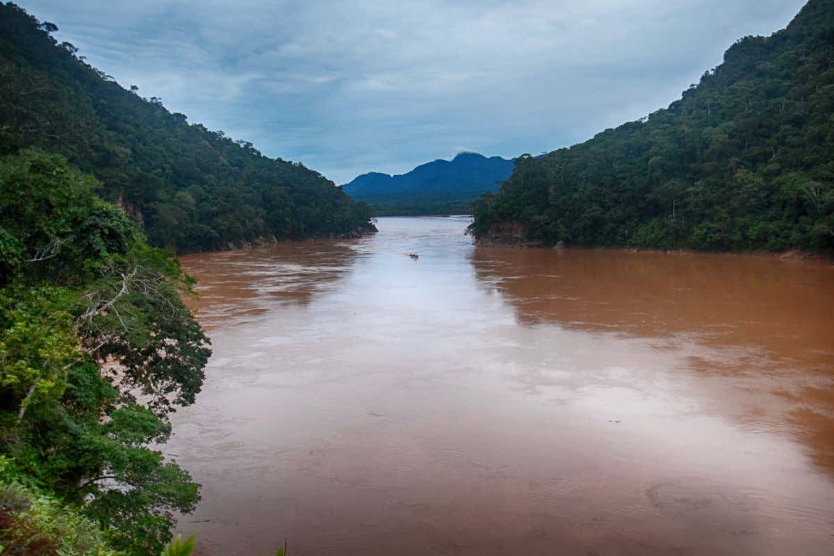 Excursión de 3 días por el Parque Nacional Madidi, Rurrenabaque
