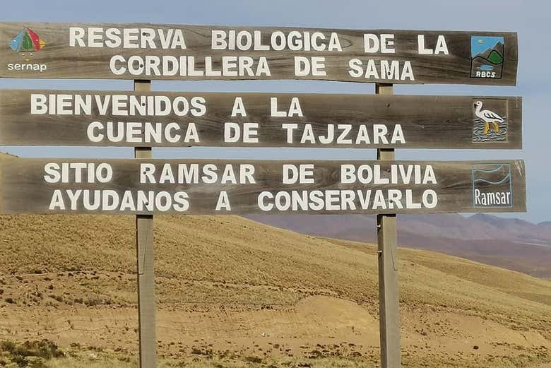 Tour to Sama Reserve & Laguna Grande of Tajzara from Tarija