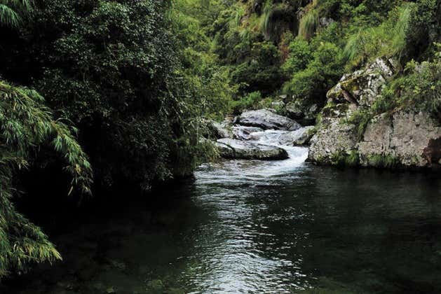 Tarija Valleys 3-Day Tour - Book Online at Civitatis.com