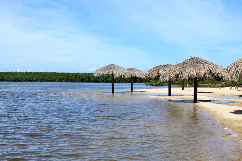 Paseo en barco por Croa do Goré e Isla de los Enamorados desde Aracaju