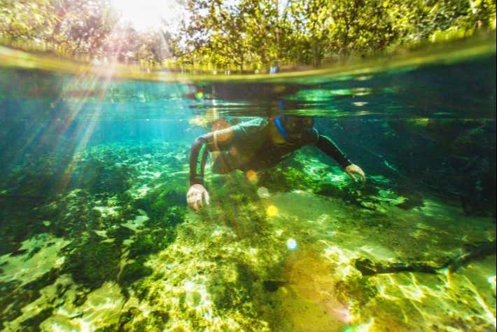 Snorkel en los ríos da Prata y Olho d'Água, Bonito