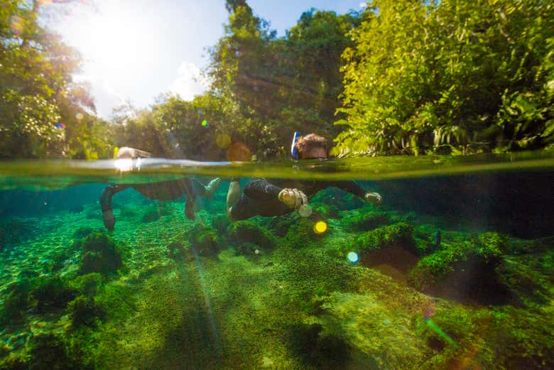 Snorkel en los ríos da Prata y Olho d'Água, Bonito