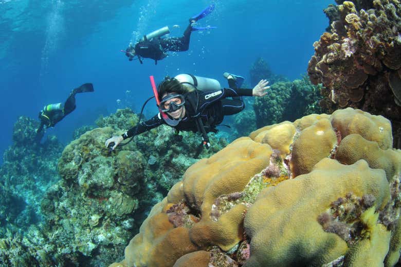 Bautismo de buceo en Búzios - Reserva online en Civitatis.com