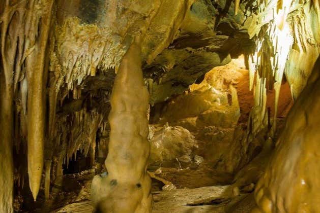 Botuvera Caves Tour from Itapema - Book Online at Civitatis.com