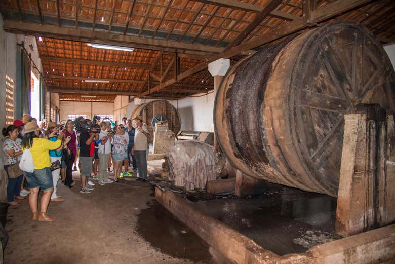 Cabaceiras Private Tour from João Pessoa - Book at Civitatis.com