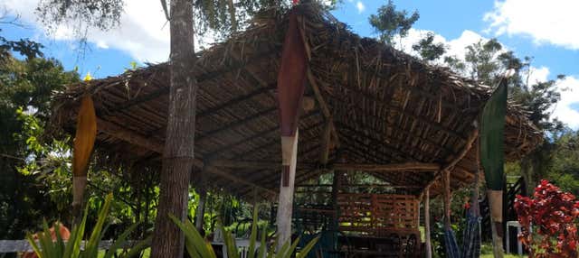 Excursión a Chã Preta y Serra Lisa desde Maceió - Civitatis.com