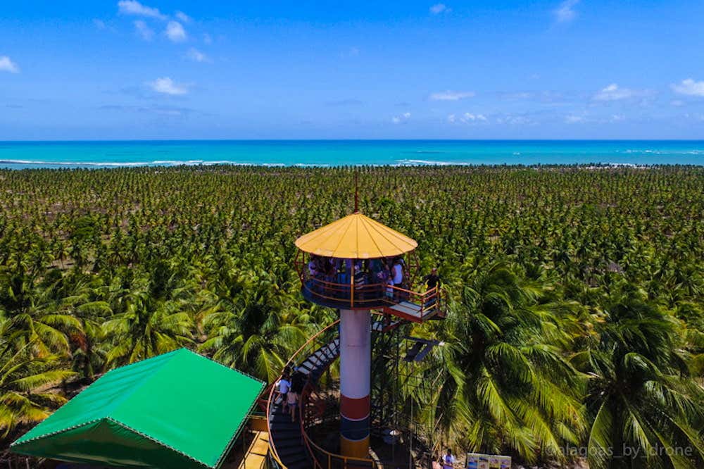 Excursão de Maceió à Barra de São Miguel + Praias do Francês e do Gunga