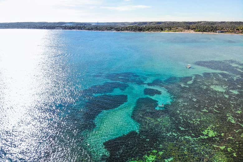 Excursión a Maragogi desde Maceió - Reserva en Civitatis.com
