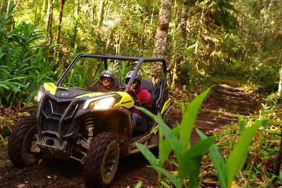 Tour de UTV em Monte Verde - Reserve online em Civitatis.com
