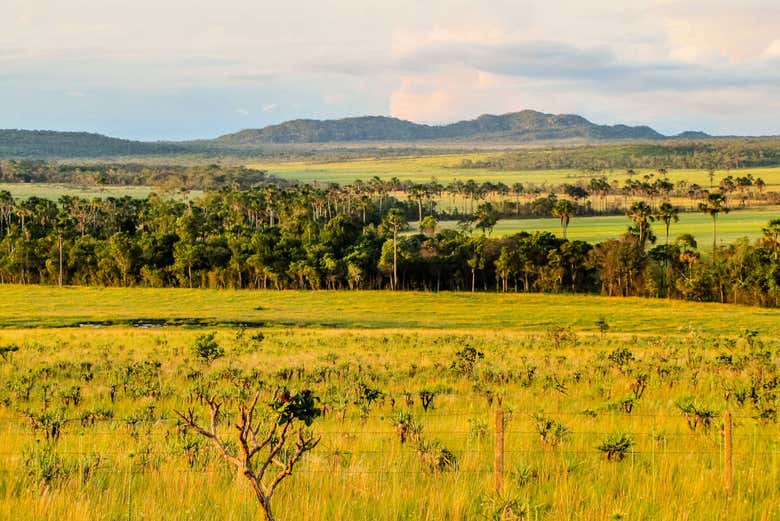 12 Day Tour of Tocantins from Palmas - Book at Civitatis.com