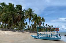 Excursiones, visitas guiadas y actividades en Recife - Civitatis