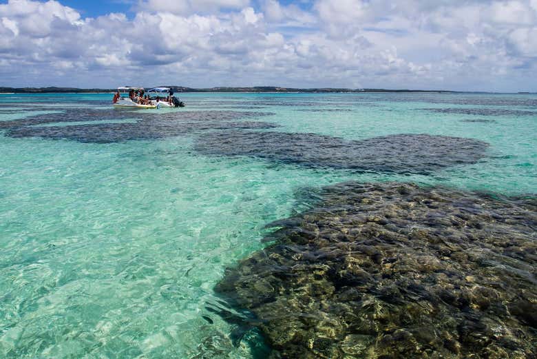 Excursión a Maragogi desde Recife - Reserva en Civitatis.com