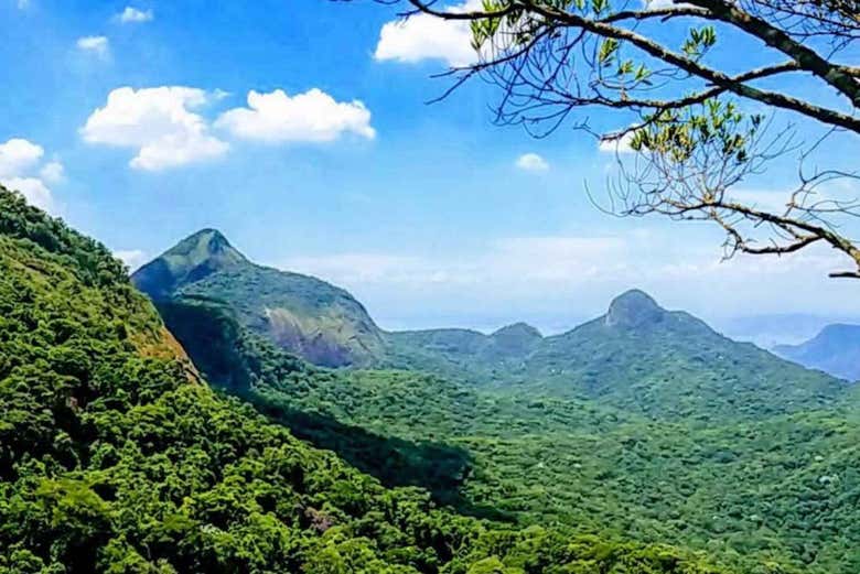 Tour de aventura por el Parque Nacional de Tijuca en Río de Janeiro