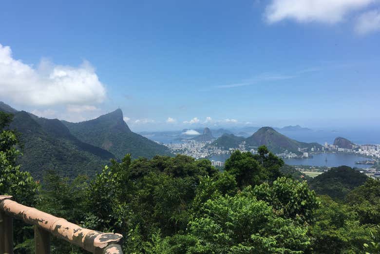 Tijuca National Park Cave Trail Hike, Rio de Janeiro