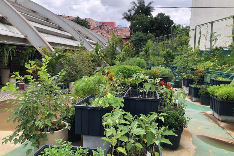 Paraisópolis Favela Private Tour, Sao Paulo