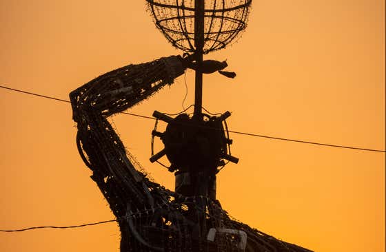 Guided tours, day trips and activities in Cameroon - Civitatis.com