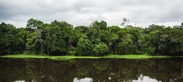 Cameroon Nature Reserve Tour from Yaoundé, Yaundé