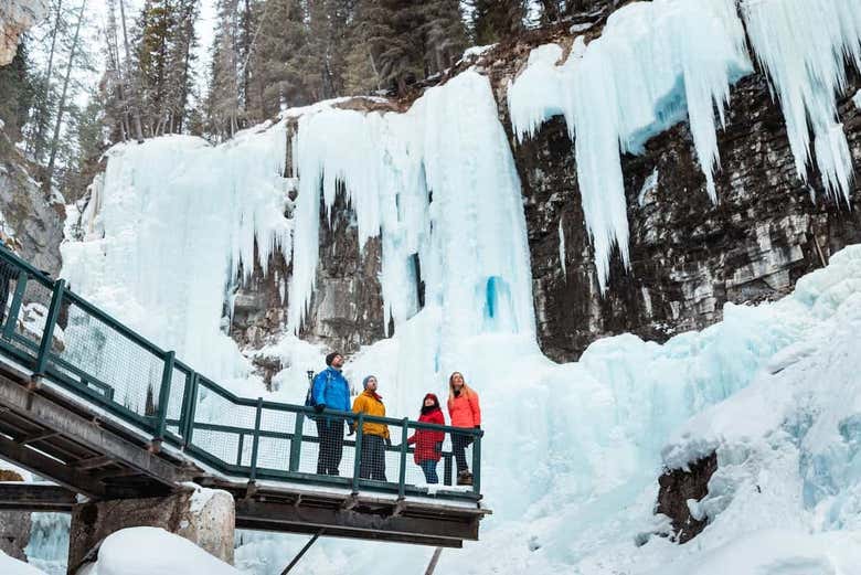 Frozen Waterfalls of Johnston Canyon Trip from Banff