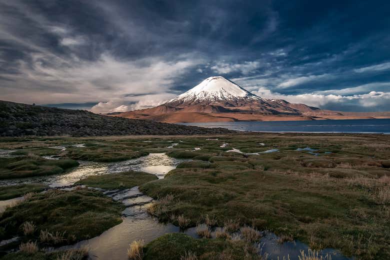 Excursión al lago Chungará desde Arica - Civitatis.com