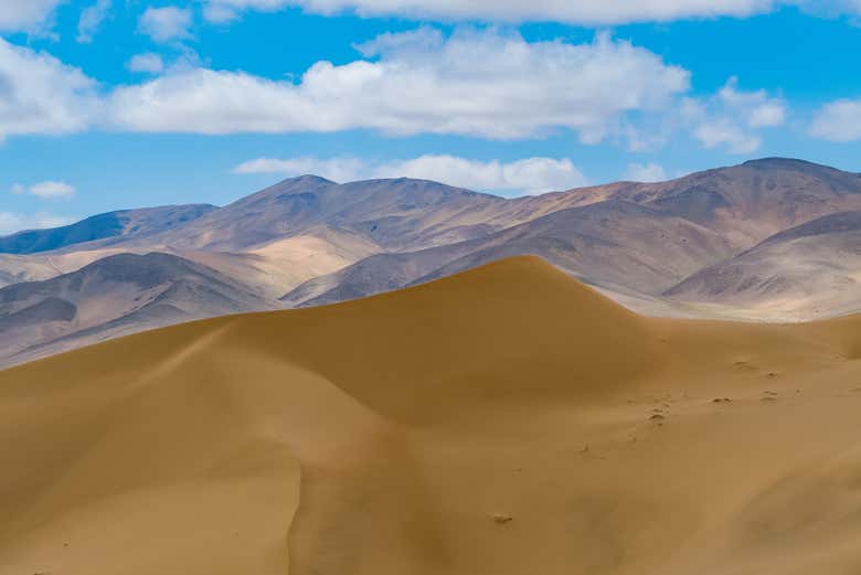 Excursión al Mar de Dunas de la región de Atacama, Copiapó