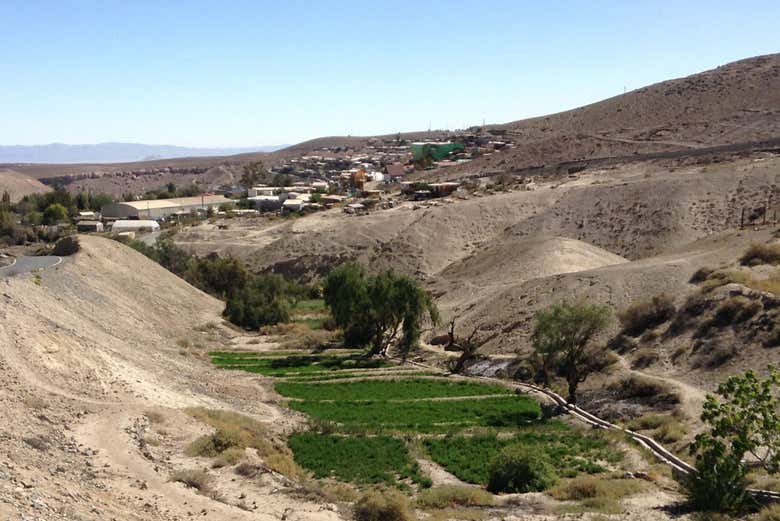Mamiña Day Trip from Iquique - Book Online at Civitatis.com