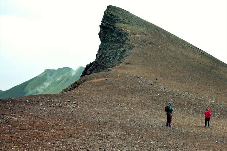 Mount Tarn Hiking Tour from Punta Arenas - Book at Civitatis.com