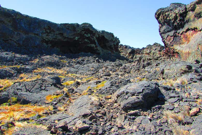 Pali Aike National Park Day Trip from Punta Arenas - Civitatis.com