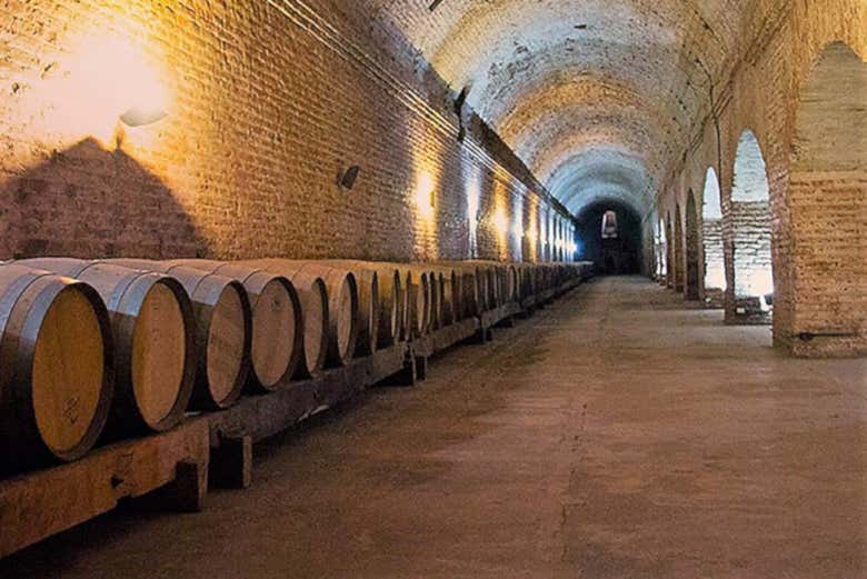 Cousiño Macul Winery Tour from Santiago de Chile - Civitatis.com