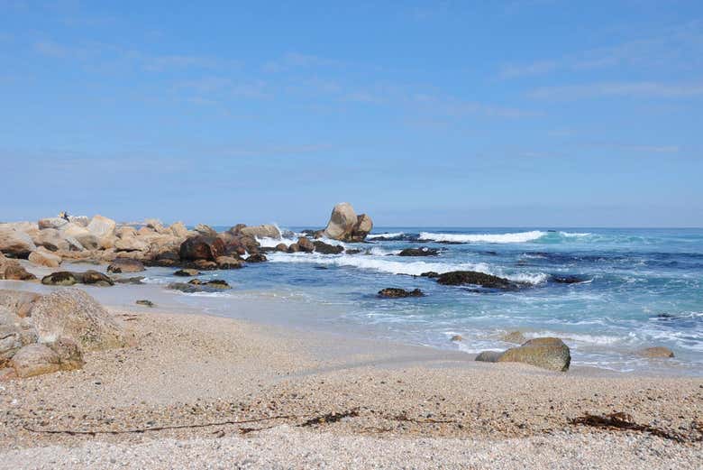 Excursión a Isla Negra, Algarrobo y Viña Indómita desde Santiago ...