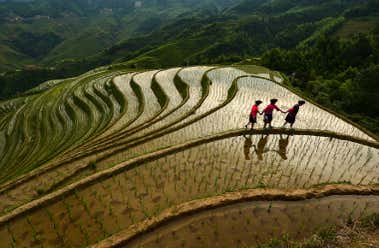 Guided tours, day trips and activities in China - Civitatis.com