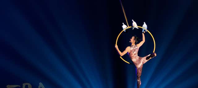 Ingresso do espetáculo acrobático ERA no Shanghai Circus World