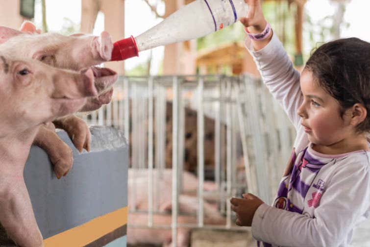 Parque Panaca Day Trip from Armenia - Book Online at Civitatis.com