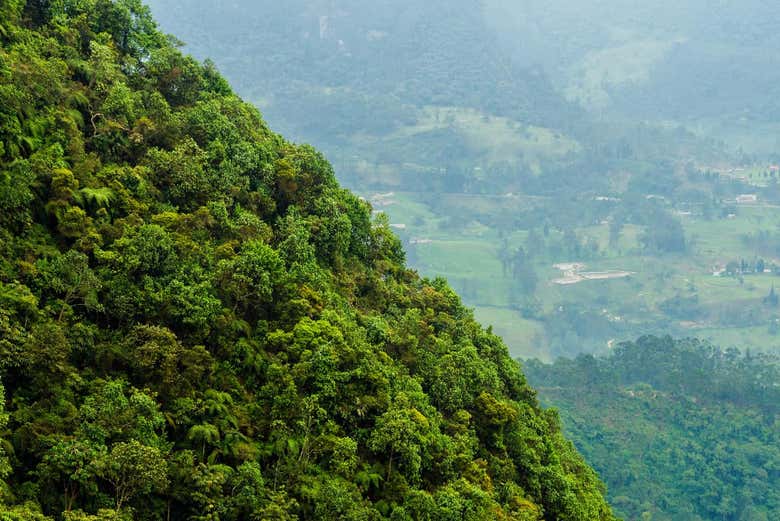 Excursión al Parque Natural Chicaque desde Bogotá