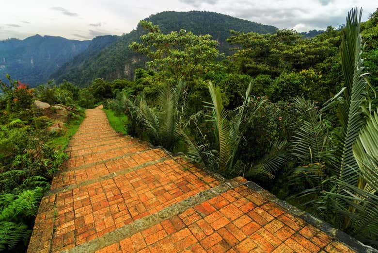 Excursión al Parque Natural Chicaque desde Bogotá